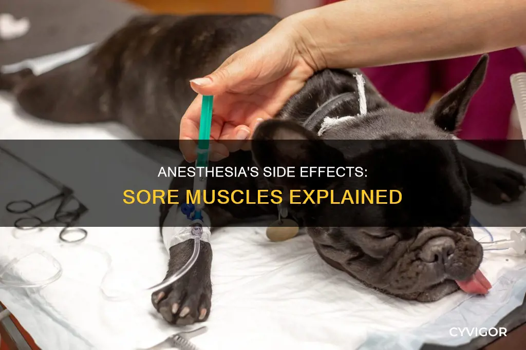 Anesthesia's Side Effects: Sore Muscles Explained | CyVigor
