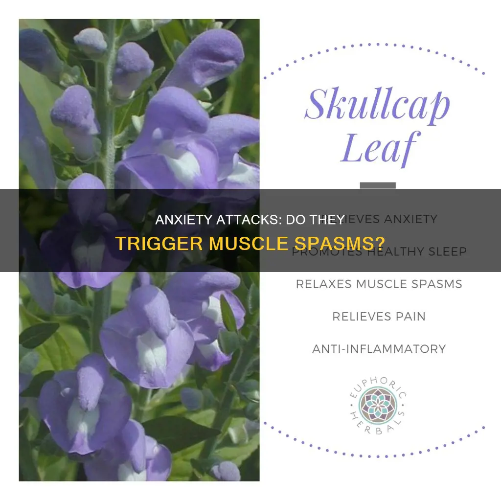 Anxiety Attacks: Do They Trigger Muscle Spasms? | CyVigor
