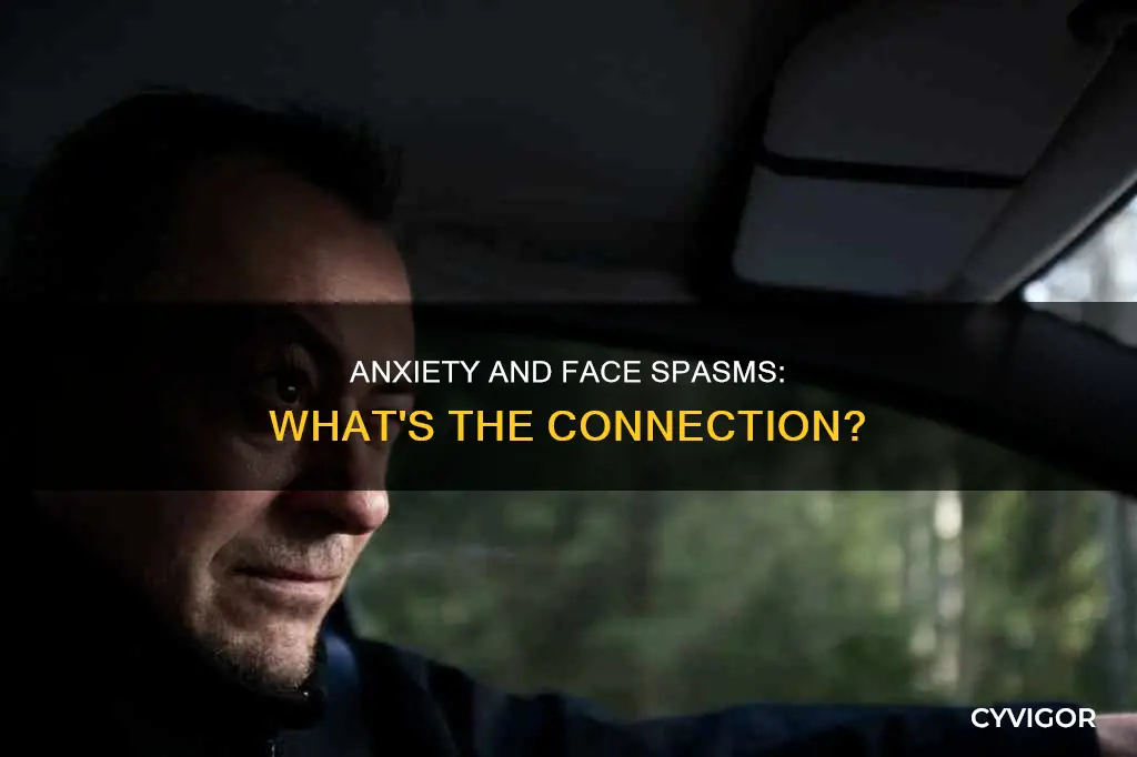 Anxiety And Face Spasms: What's The Connection? | CyVigor