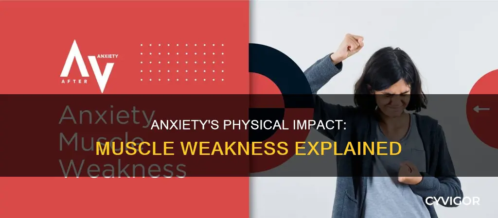 Anxiety's Physical Impact: Muscle Weakness Explained | CyVigor