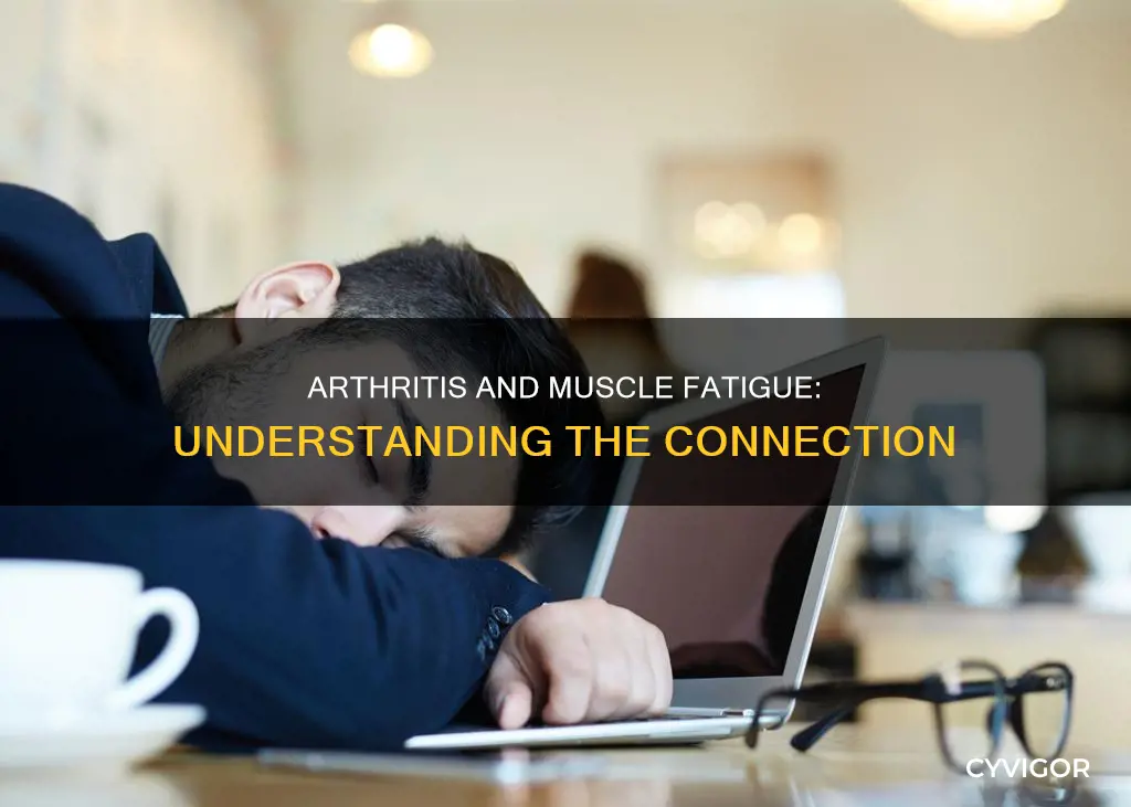 Arthritis And Muscle Fatigue: Understanding The Connection | CyVigor