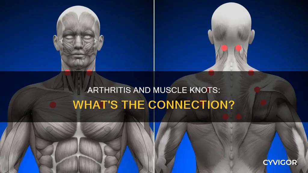 Arthritis And Muscle Knots: What's The Connection? | CyVigor