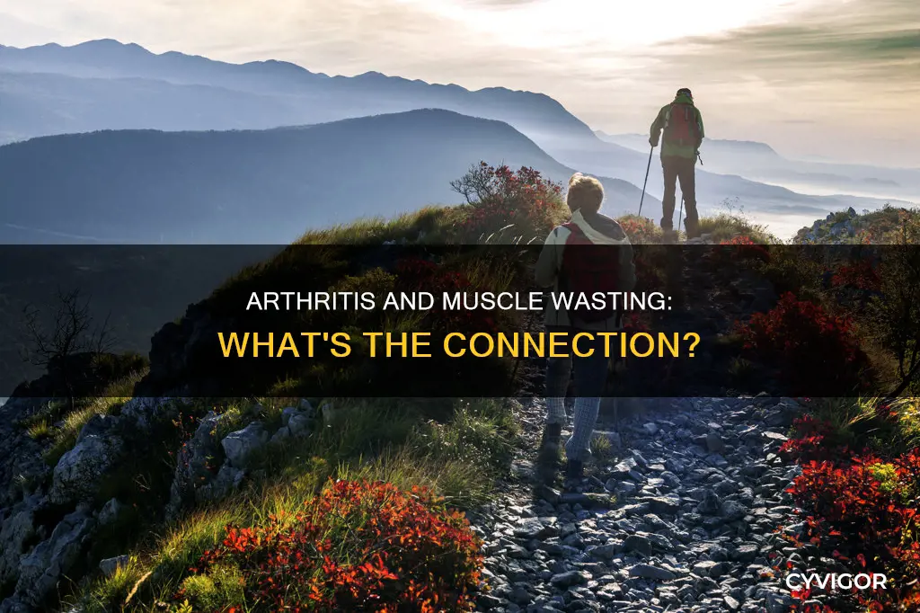 Arthritis And Muscle Wasting: What's The Connection? | CyVigor