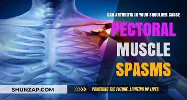 Artificial Sweeteners: A Surprising Cause Of Muscle Pain? | CyVigor