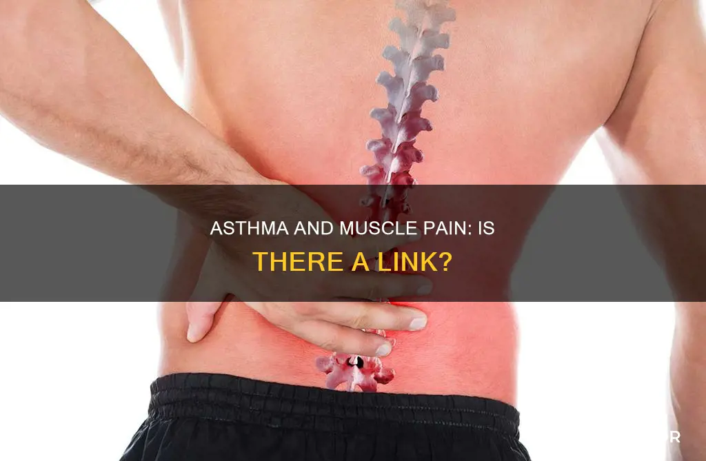 Asthma And Muscle Pain: Is There A Link? | CyVigor