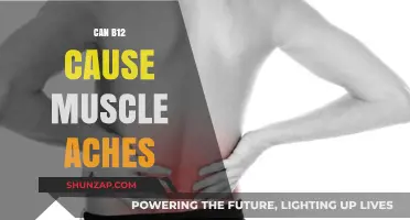 B12 Injections: Can They Cause Muscle Pain? | CyVigor