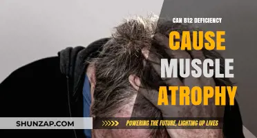 B12 Injections: Can They Cause Muscle Pain? | CyVigor