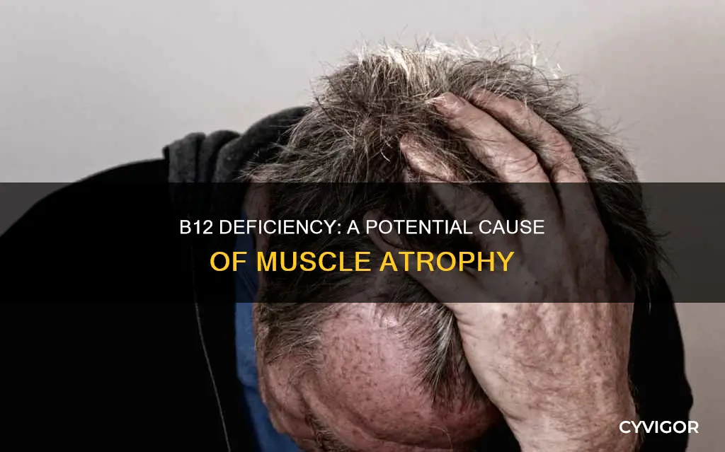 B12 Deficiency: A Potential Cause Of Muscle Atrophy | CyVigor