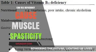 B12 Injections: Can They Cause Muscle Pain? | CyVigor