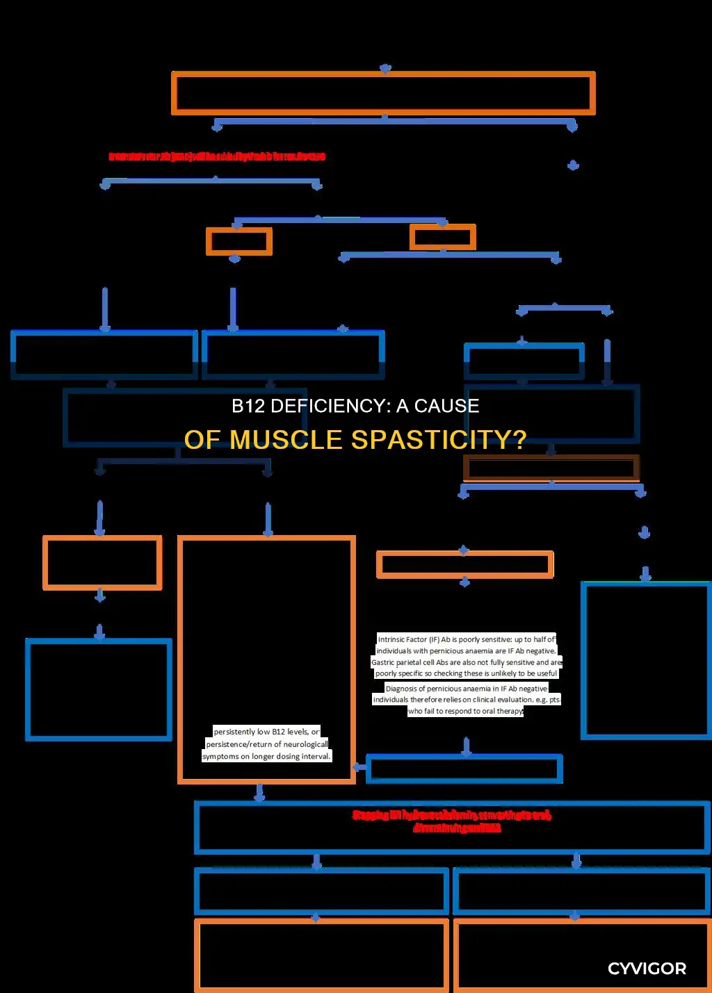 B12 Deficiency: A Cause Of Muscle Spasticity? | CyVigor