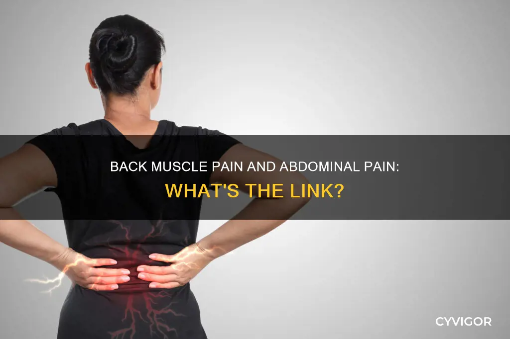 Back Muscle Pain And Abdominal Pain: What's The Link? | CyVigor
