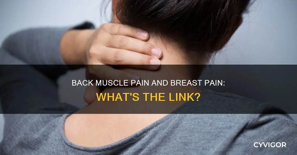 Back Muscle Pain And Breast Pain: What's The Link? | CyVigor