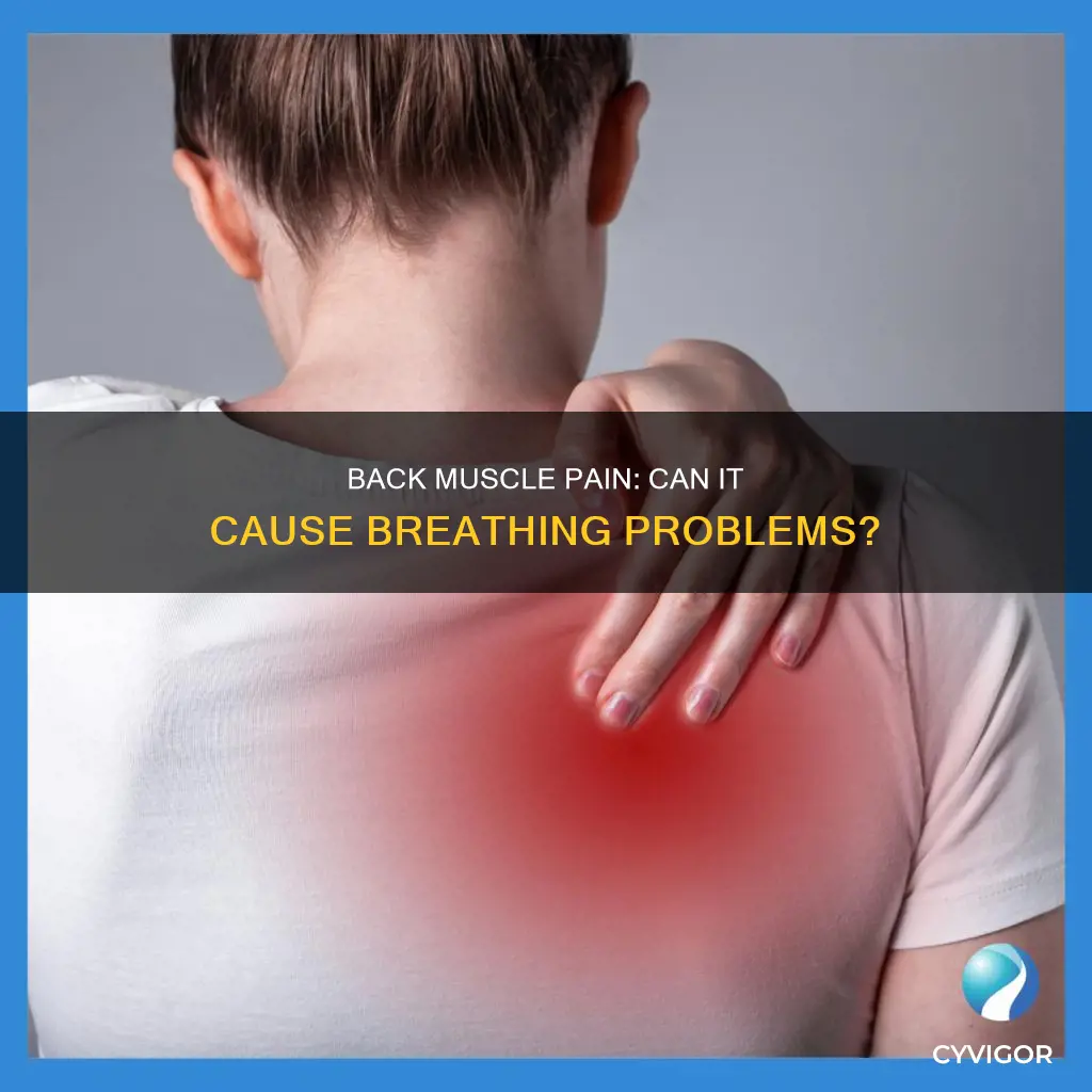 Back Muscle Pain: Can It Cause Breathing Problems? | CyVigor