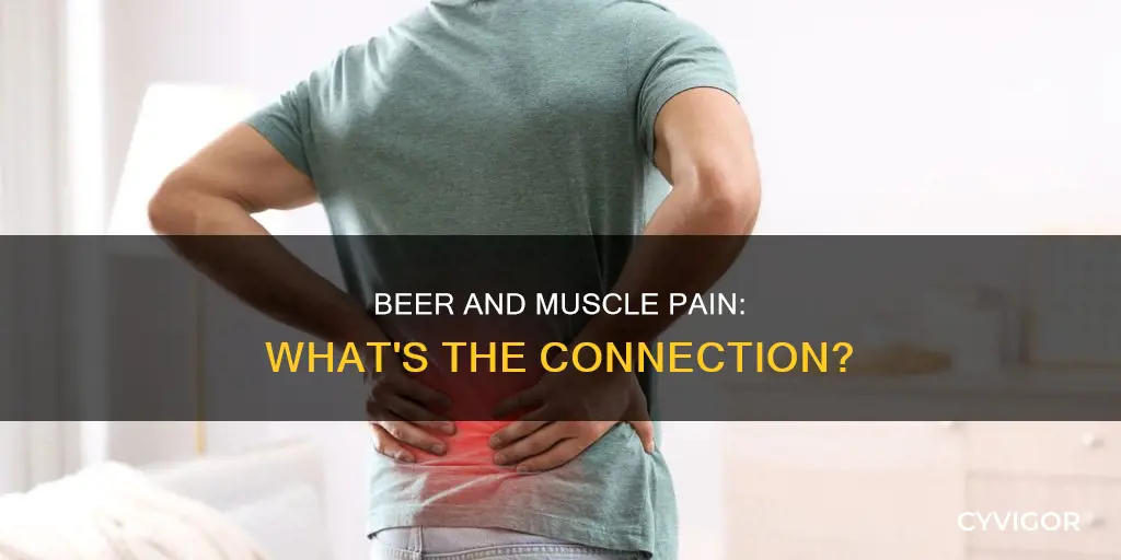 Beer And Muscle Pain: What's The Connection? | CyVigor