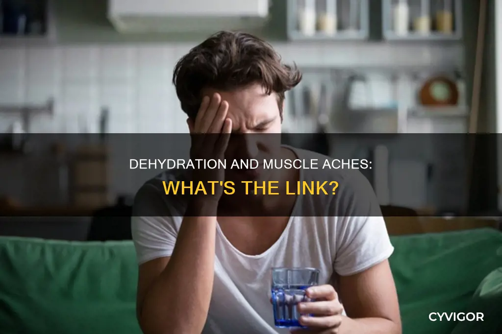Dehydration And Muscle Aches: What's The Link? | CyVigor