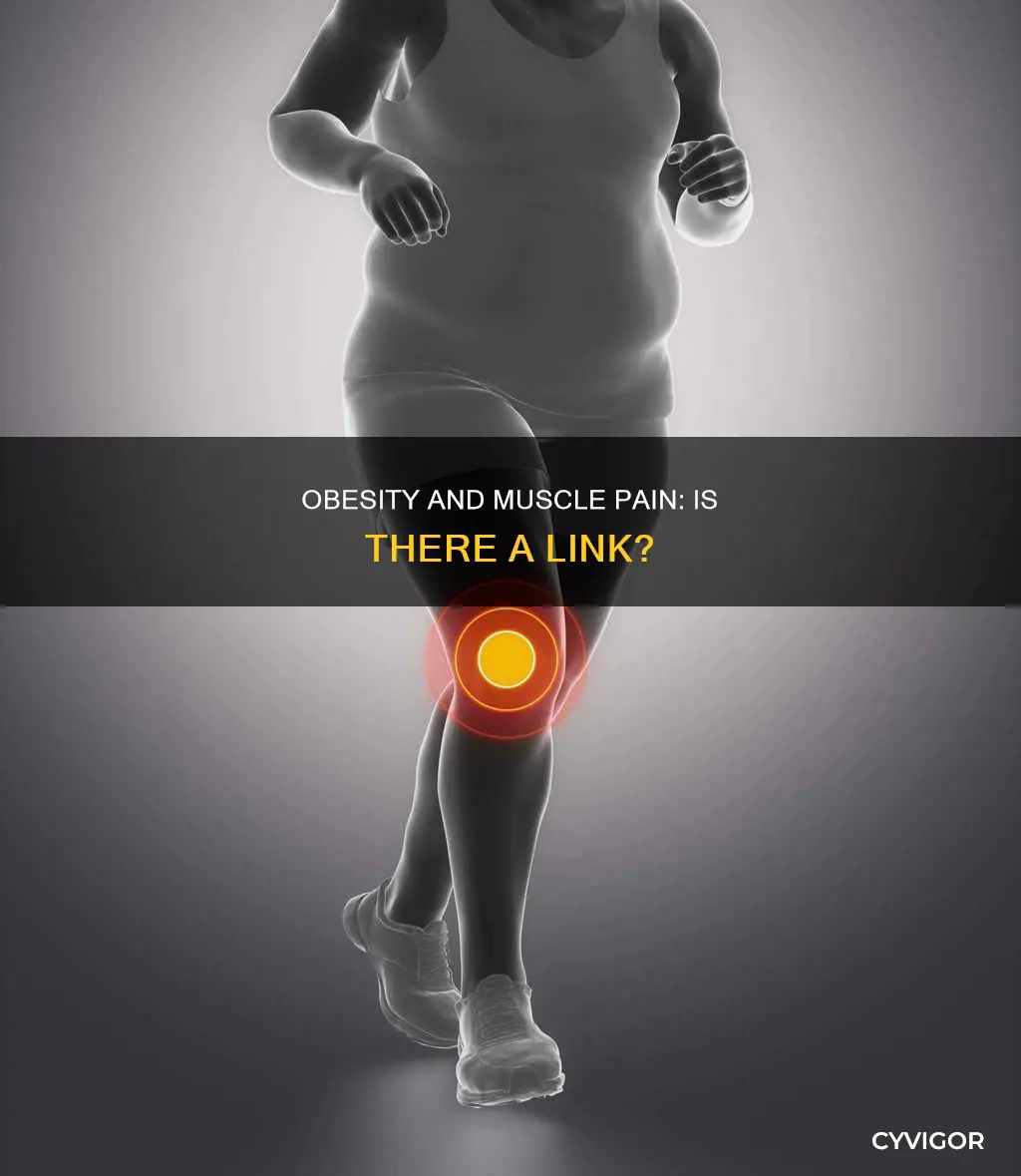 Obesity And Muscle Pain: Is There A Link? | CyVigor