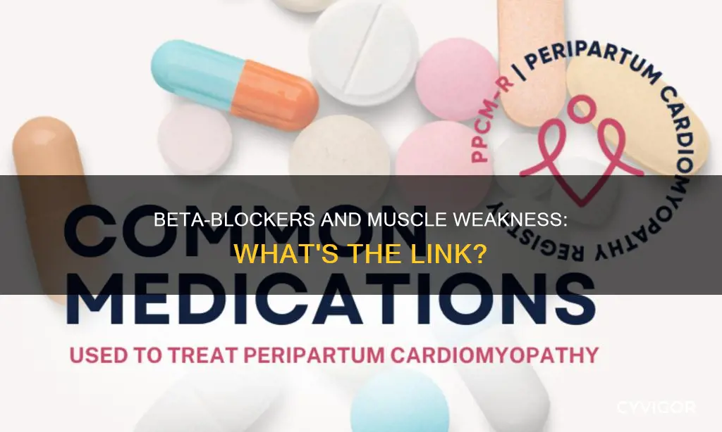 Beta-Blockers And Muscle Weakness: What's The Link? | CyVigor