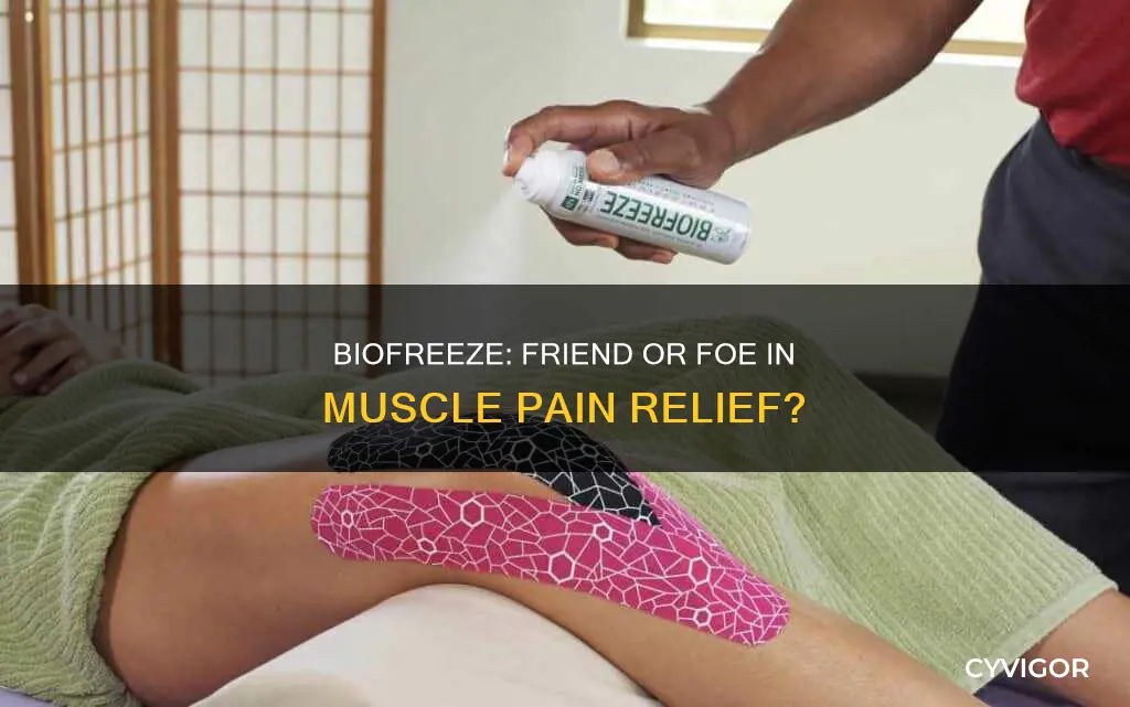 Biofreeze: Friend Or Foe In Muscle Pain Relief? | CyVigor