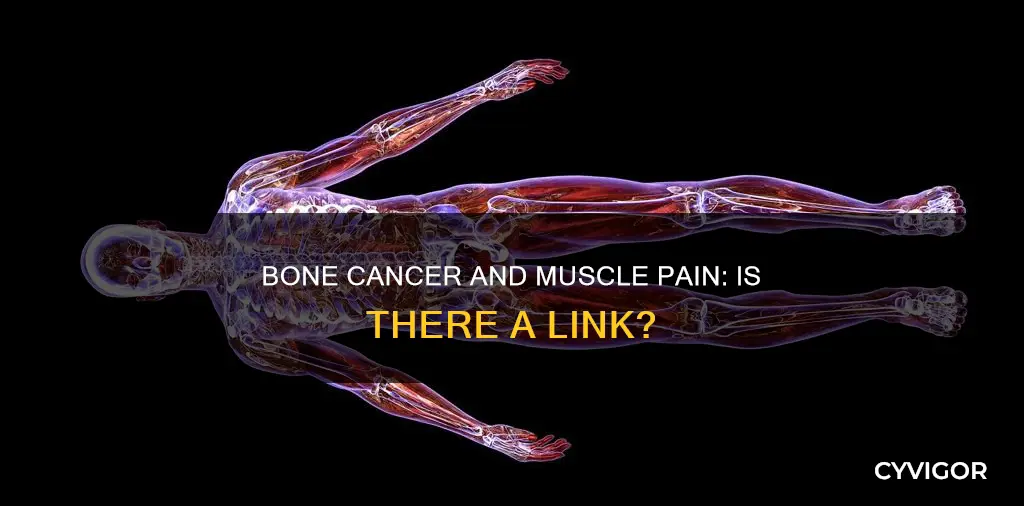 Bone Cancer And Muscle Pain: Is There A Link? | CyVigor