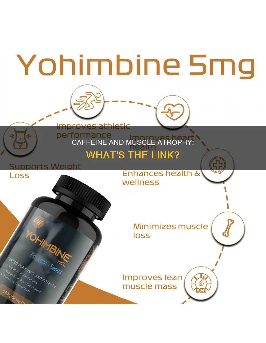 Caffeine And Muscle Atrophy: What's The Link? | CyVigor
