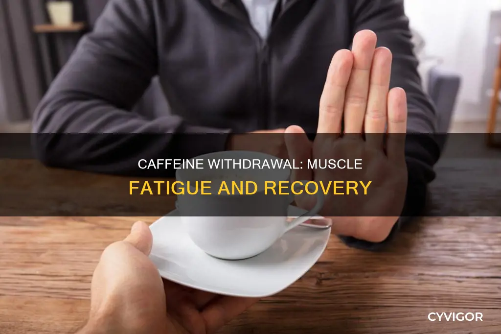 Caffeine Withdrawal: Muscle Fatigue And Recovery | CyVigor