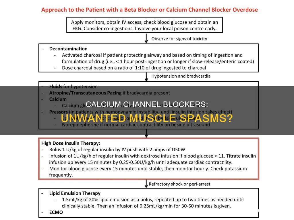 Calcium Channel Blockers: Unwanted Muscle Spasms? | CyVigor