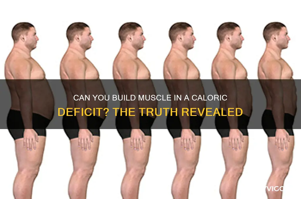 Can You Build Muscle In A Caloric Deficit? The Truth Revealed | CyVigor