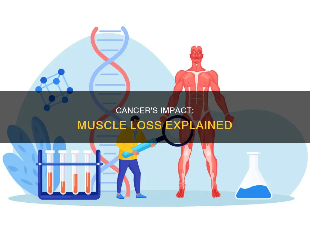 Cancer's Impact: Muscle Loss Explained | CyVigor