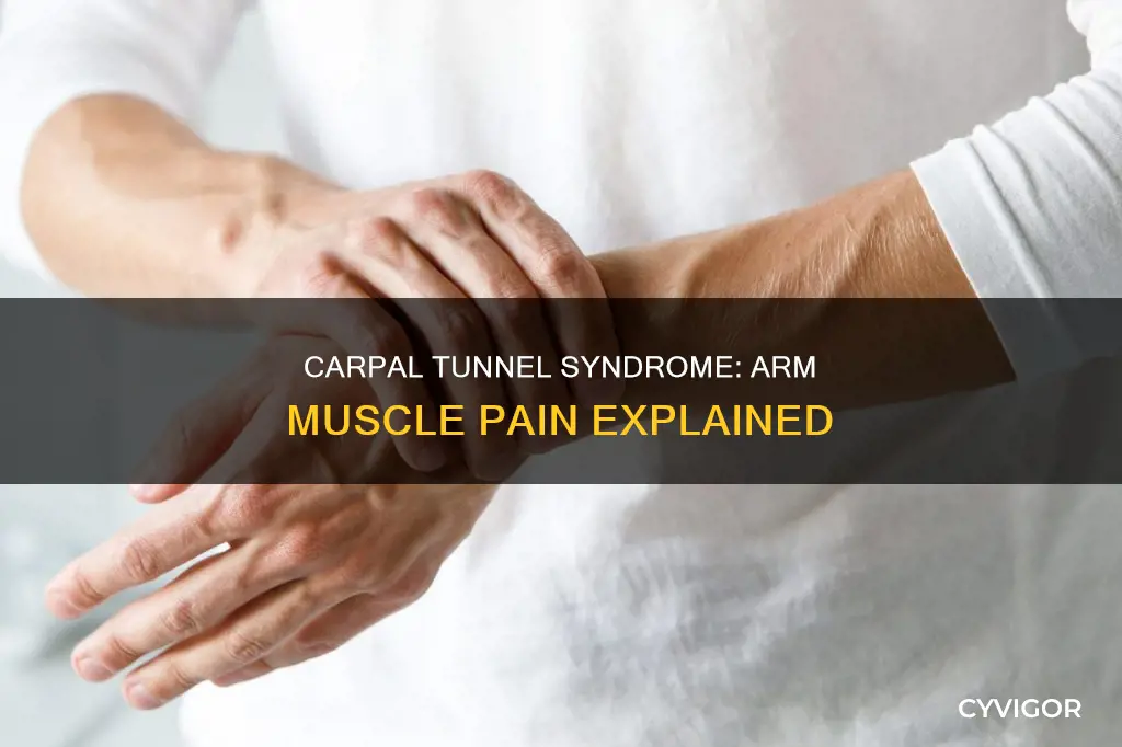 Carpal Tunnel Syndrome: Arm Muscle Pain Explained | CyVigor