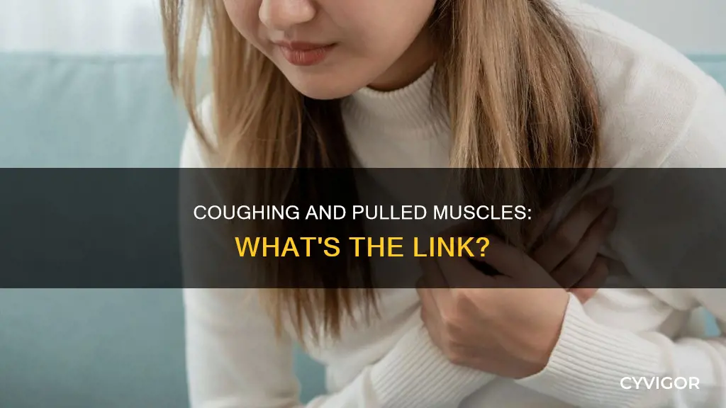 Coughing And Pulled Muscles: What's The Link? | CyVigor