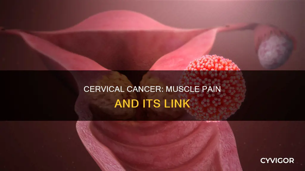 Cervical Cancer: Muscle Pain And Its Link | CyVigor