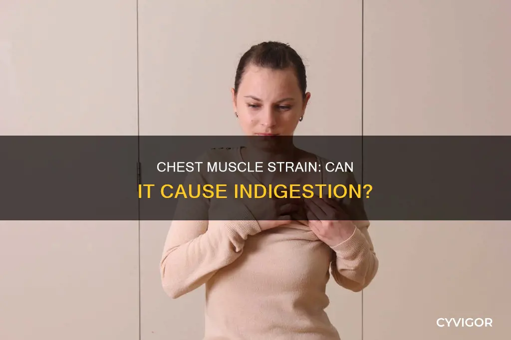 Chest Muscle Strain: Can It Cause Indigestion? | CyVigor