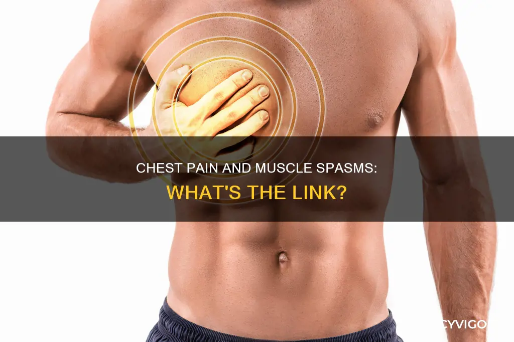 Chest Pain And Muscle Spasms: What's The Link? | CyVigor