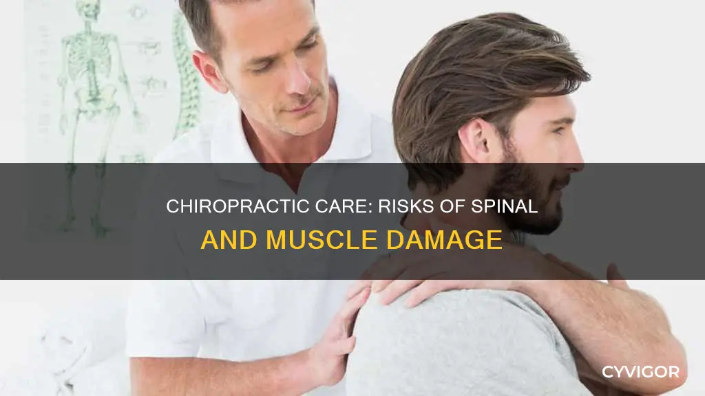Chiropractic Care: Risks Of Spinal And Muscle Damage | CyVigor