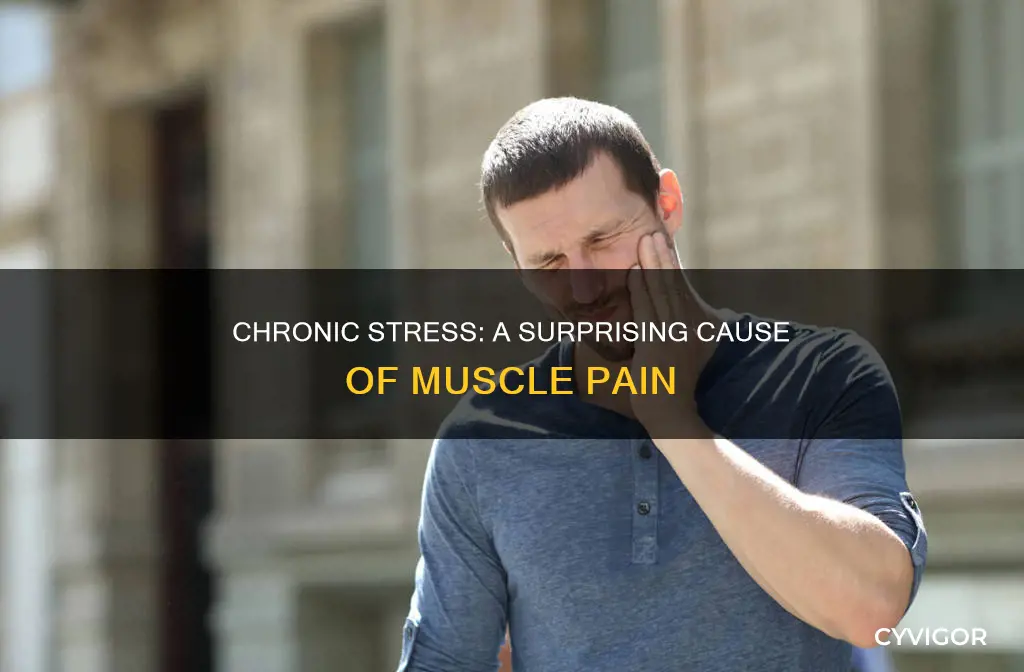 Chronic Stress: A Surprising Cause Of Muscle Pain | CyVigor