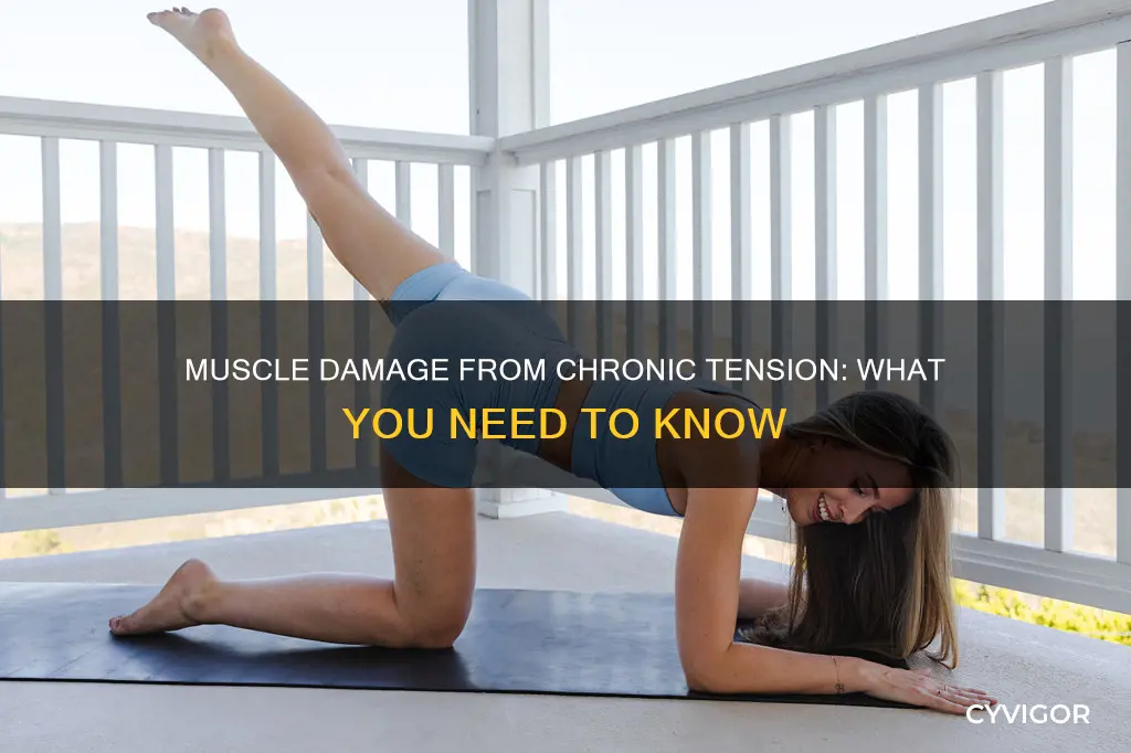 Muscle Damage From Chronic Tension: What You Need To Know | CyVigor