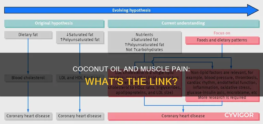 Coconut Oil And Muscle Pain: What's The Link? | CyVigor