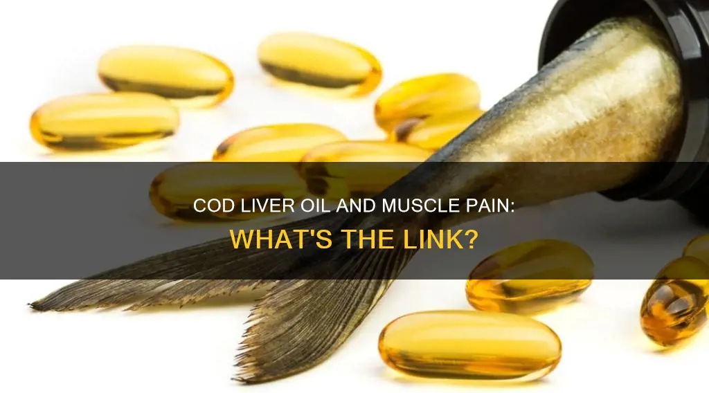 Cod Liver Oil And Muscle Pain: What's The Link? | CyVigor