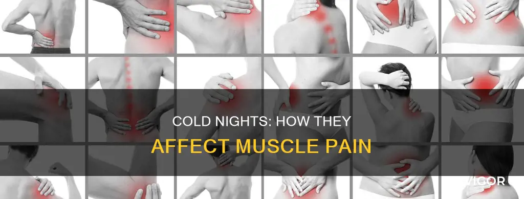 Cold Nights: How They Affect Muscle Pain | CyVigor