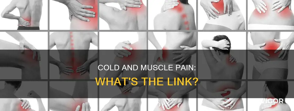 Cold And Muscle Pain: What's The Link? | CyVigor