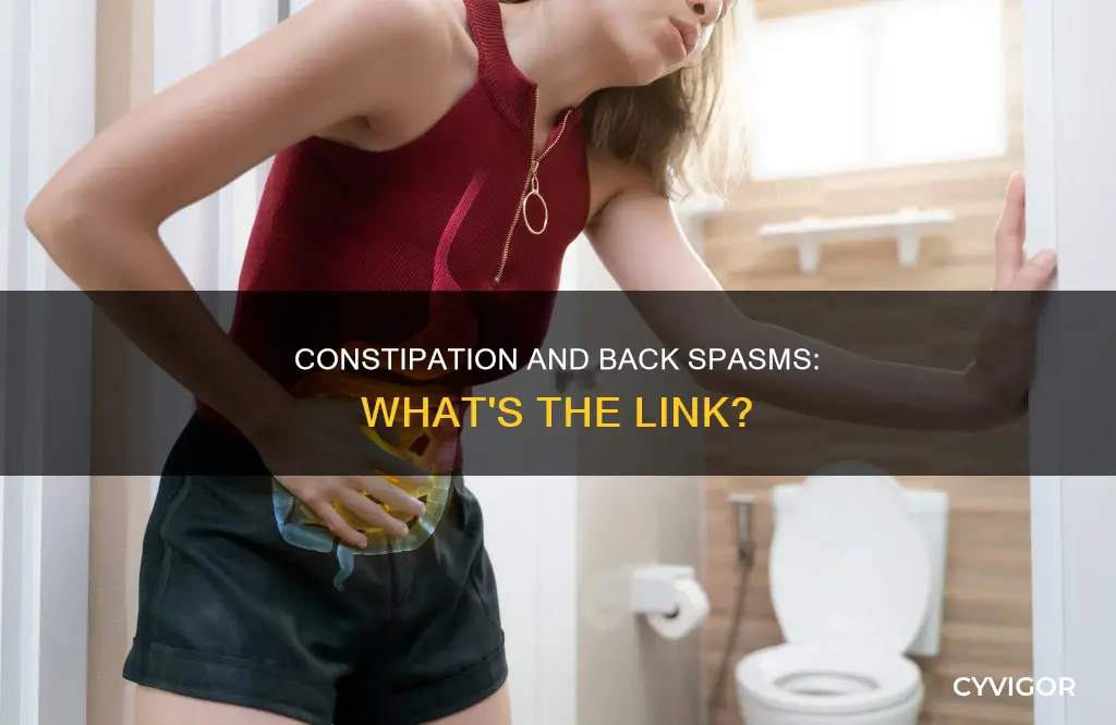 Constipation And Back Spasms: What's The Link? | CyVigor
