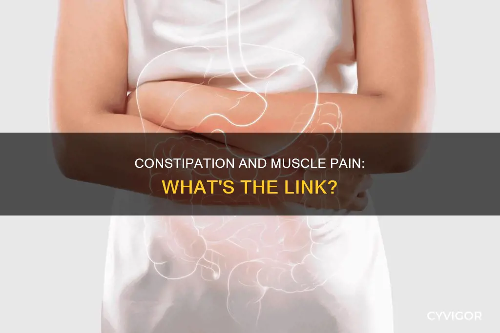 Constipation And Muscle Pain: What's The Link? | CyVigor