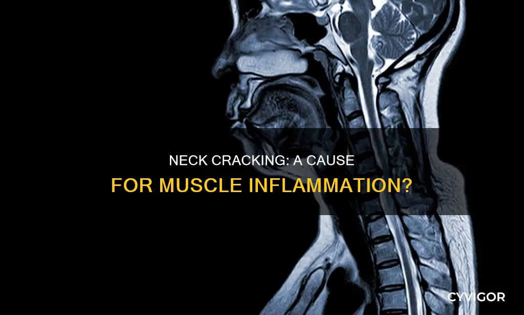 Neck Cracking: A Cause For Muscle Inflammation? | CyVigor