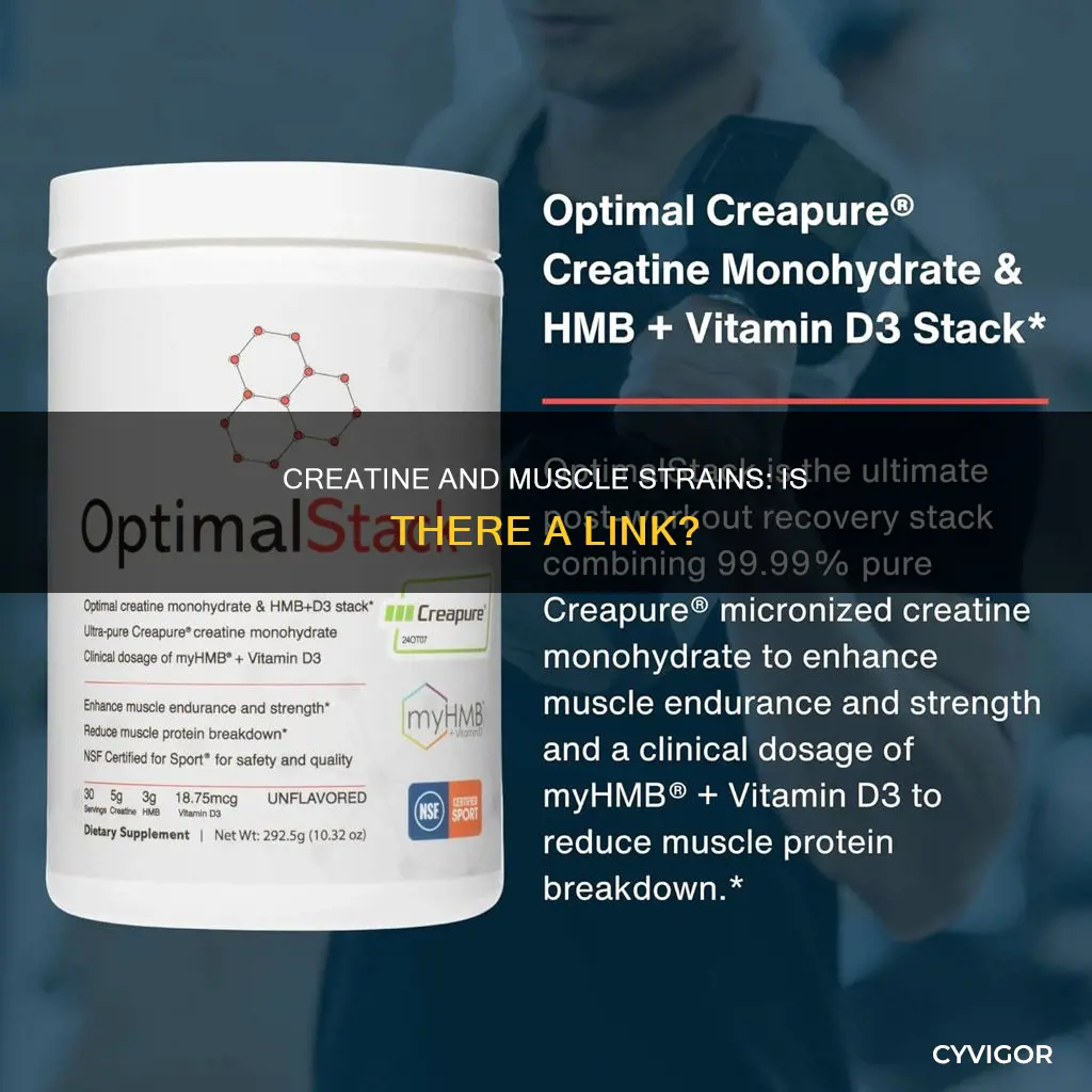 Creatine And Muscle Strains: Is There A Link? | CyVigor
