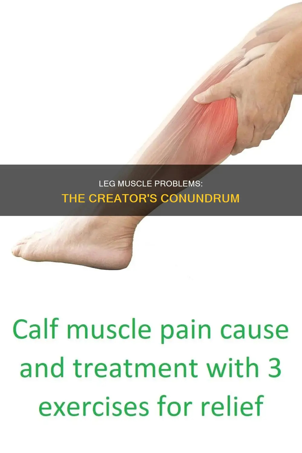 Leg Muscle Problems: The Creator's Conundrum | CyVigor