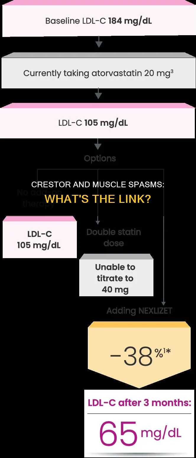 Crestor And Muscle Spasms: What's The Link? | CyVigor