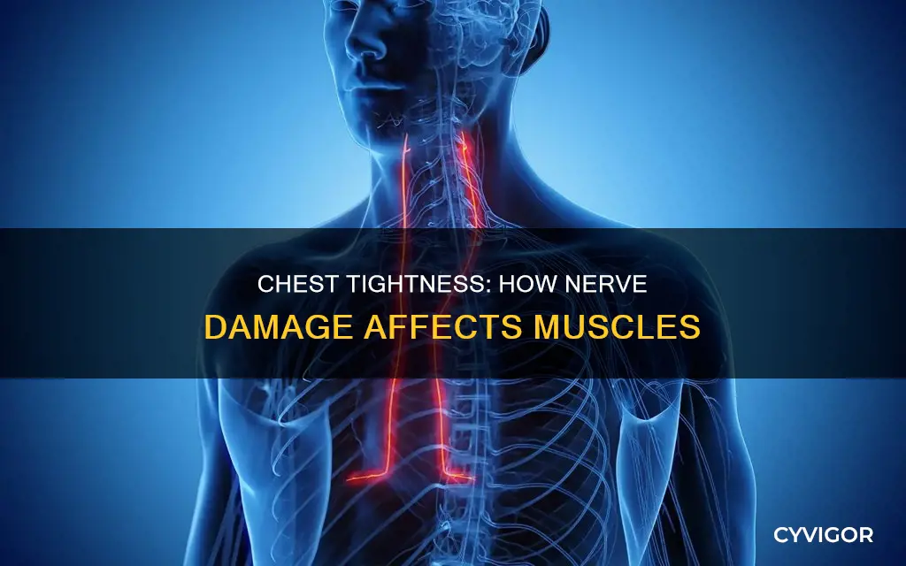 Chest Tightness: How Nerve Damage Affects Muscles | CyVigor