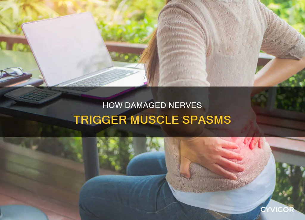 How Damaged Nerves Trigger Muscle Spasms | CyVigor