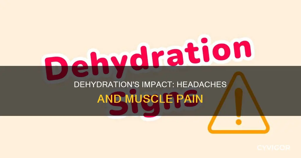 Dehydration's Impact: Headaches And Muscle Pain | CyVigor