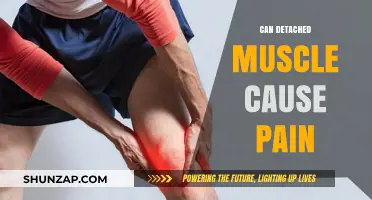 Diabetes And Muscle Spasms: The Nerve Twitching Connection | CyVigor